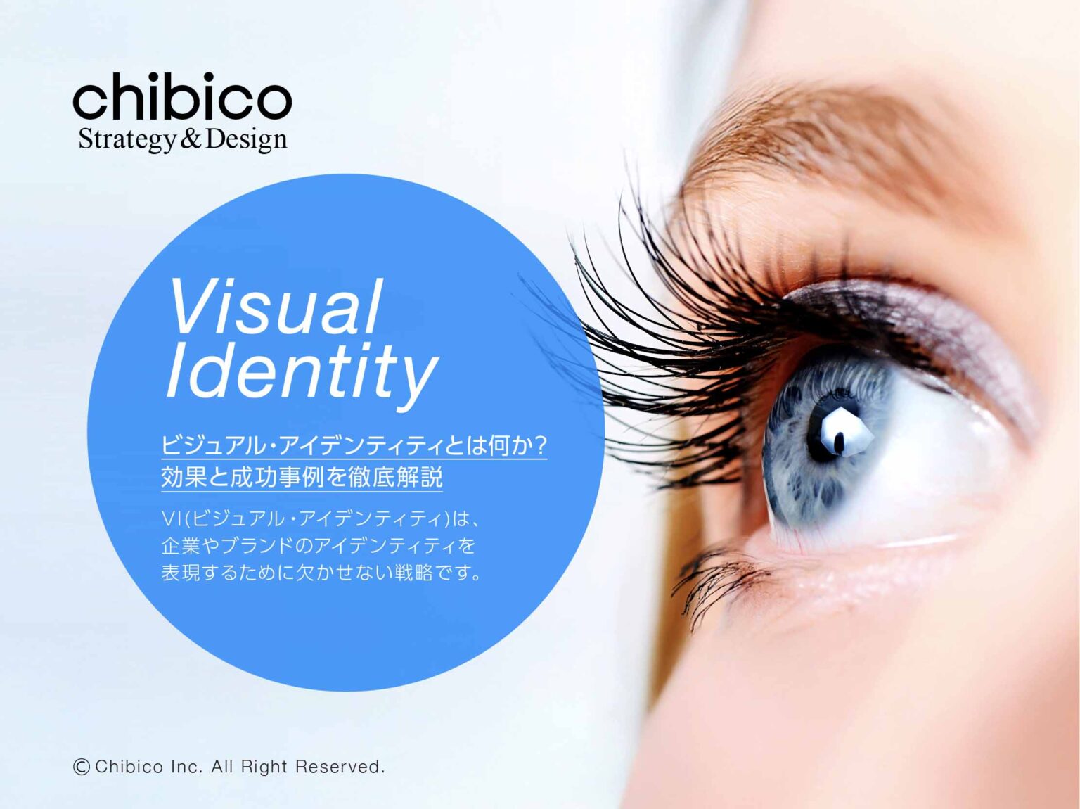 [必見] CIとVIの違いや目的と成功事例 - ブランディング会社｜株式会社チビコ | CHIBICO